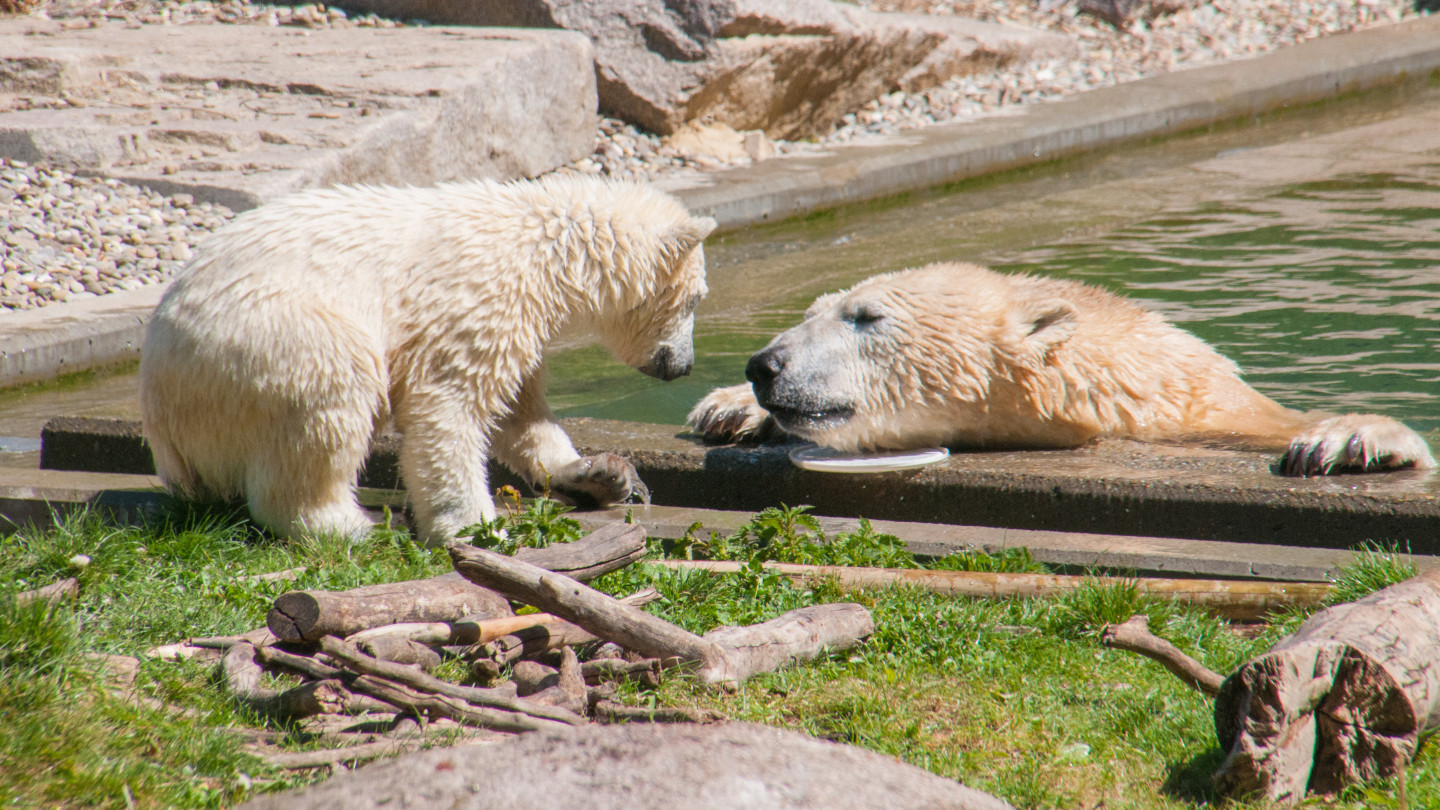 Parc Animalier Alsace