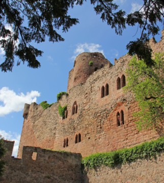 La Volerie des Aigles | Parc animalier Alsace