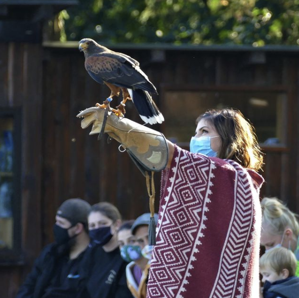 Parc Animalier Alsace